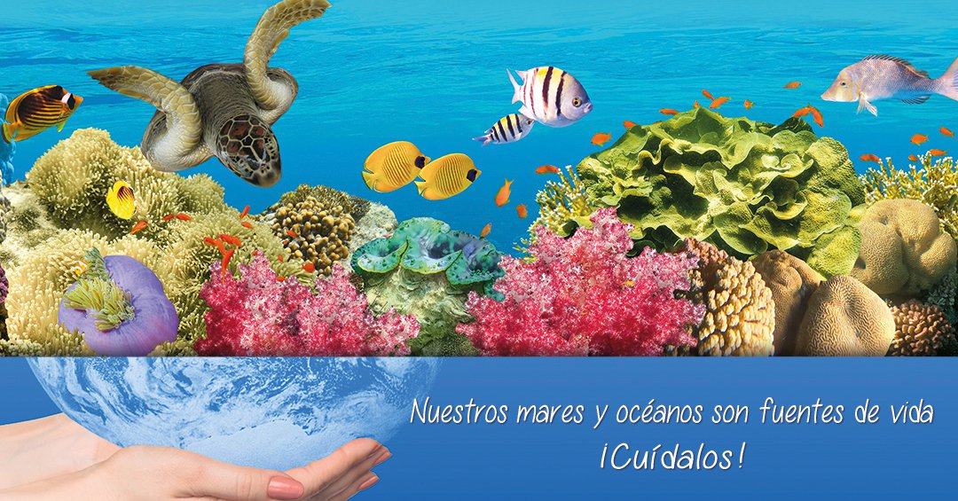 Max Center conciencia sobre el cuidado de los mares y océanos - Revista ...